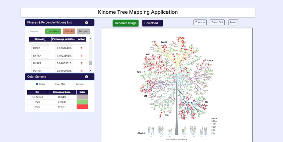 Kinome Tree Mapping Application | AssayQuant
